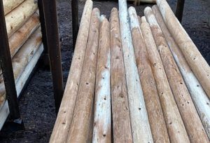 Michigan White Cedar - KJP Sales